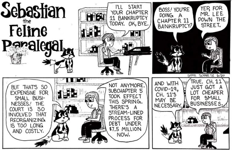 Chapter 11 Small Business Bankruptcy, under New Subchapter V Rules